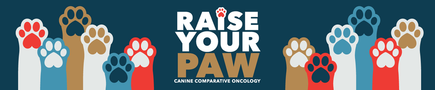 V Foundation Launches Raise Your Paw Campaign at AKC | V Foundation