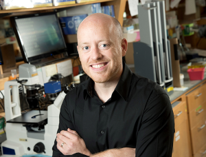 Cancer Research Overview | V Foundation