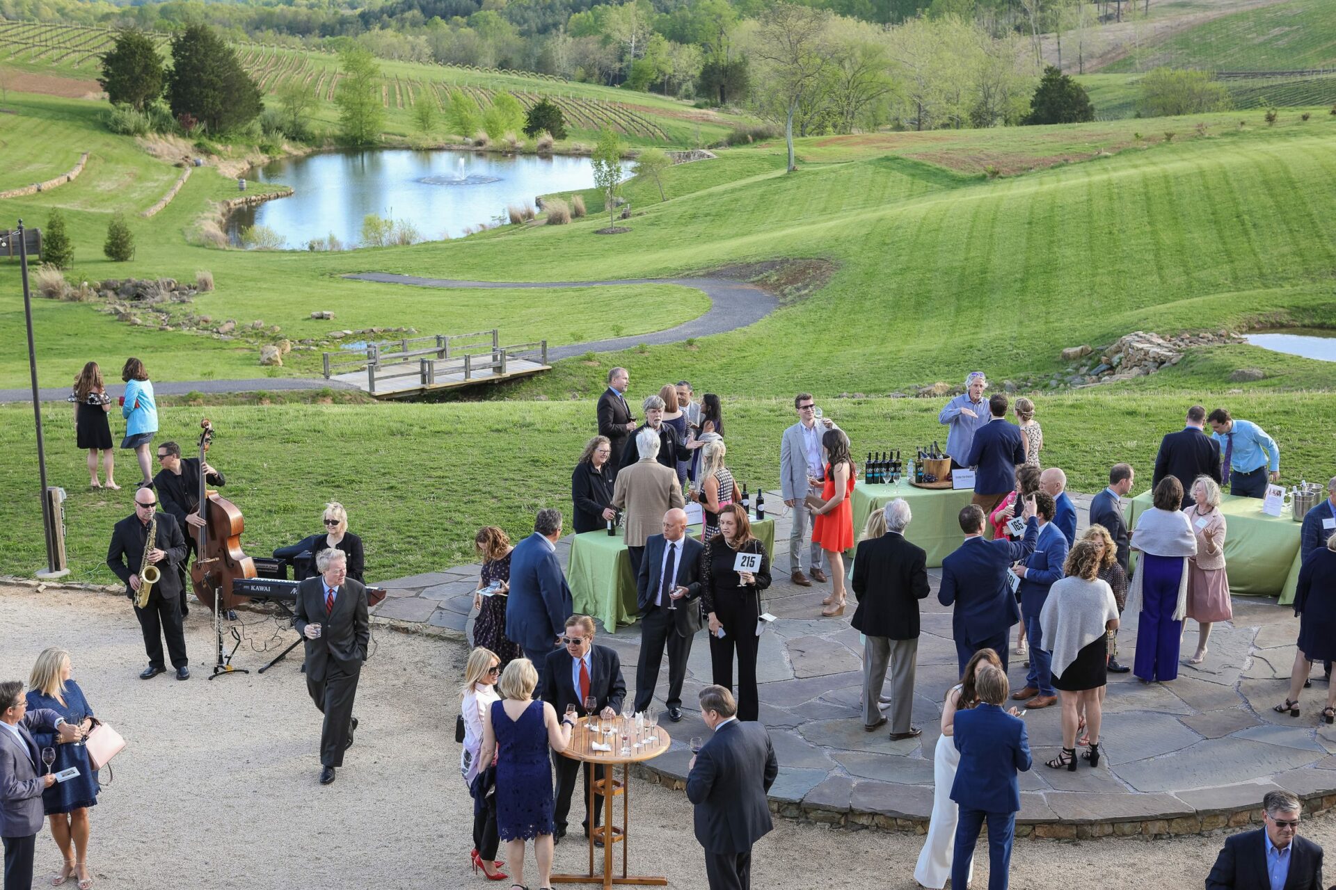 Virginia Vine Nets Nearly $500,000 for Cancer Research - V Foundation