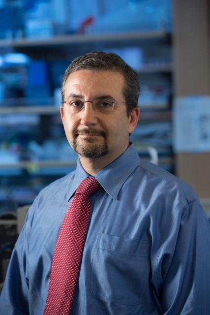 Ash Alizadeh, M.D., Ph.D. - V Foundation