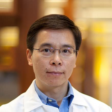 Wenjun Guo, Ph.D. - V Foundation