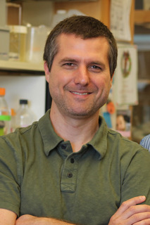 Christian Dibble, Ph.D. - V Foundation