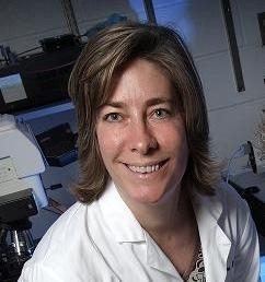 Leisha A. Emens, M.D. - V Foundation