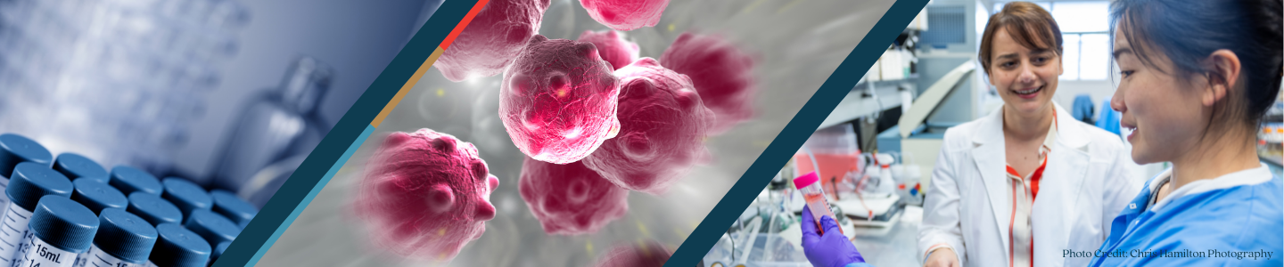 Elda Grabocka, Ph.D.: Catalyzing Cancer Research | V Foundation