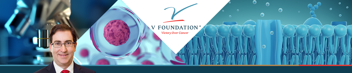New Cancer Therapy Target from Research Risk | V Foundation