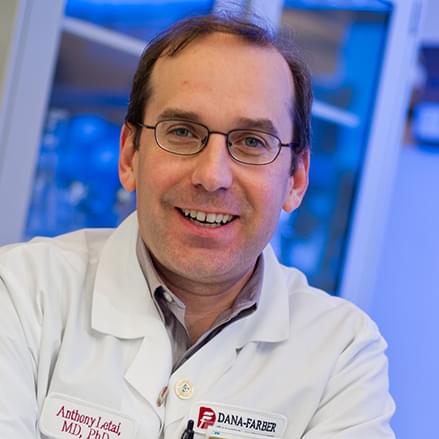 Anthony Letai, M.D., Ph.D. - V Foundation