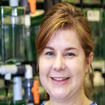 Jessica Blackburn, Ph.D. - V Foundation