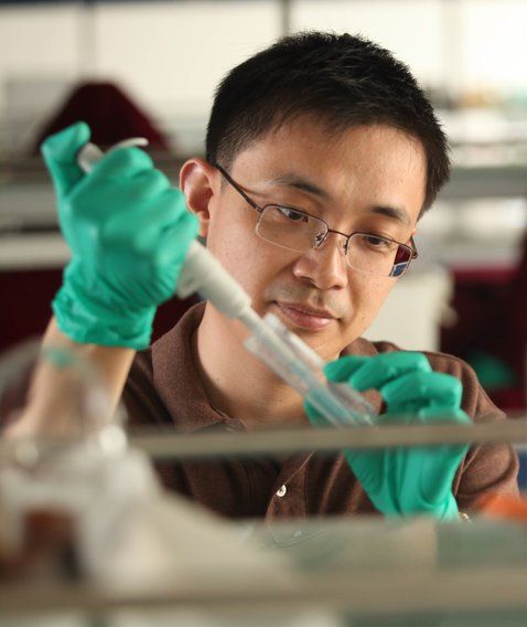 Qianben Wang, Ph.D. - V Foundation