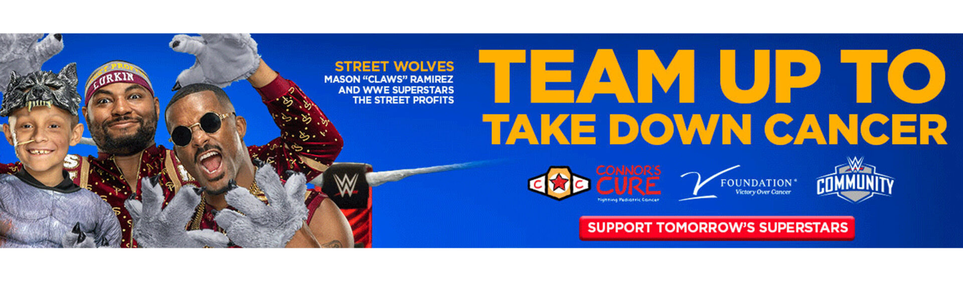 Connor's Cure - V Foundation