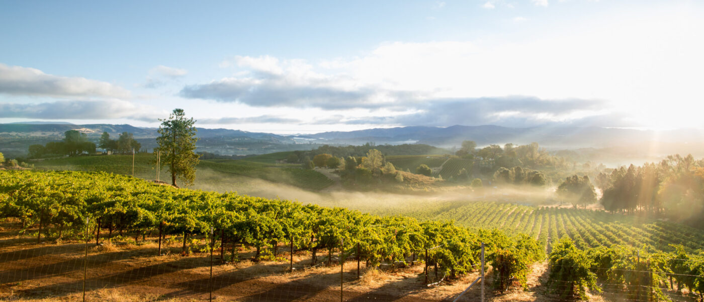 Cancer Foundation Events & Fundraisers | V Foundation