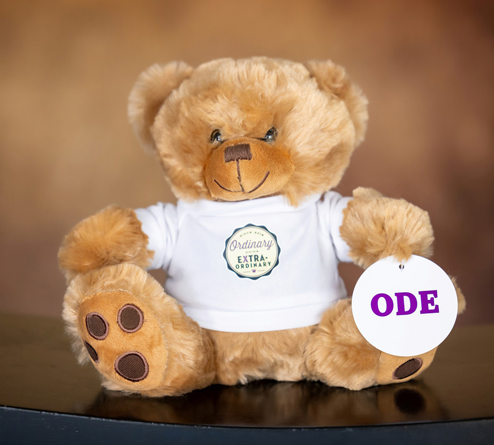 My Why: Ode the Bear's Heartwarming Cancer Journey | V Foundation