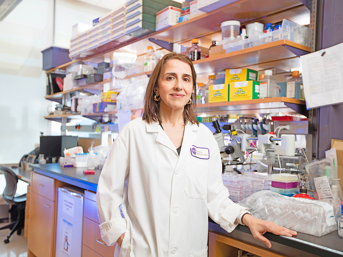 Dr. Hernando-Monge - V Foundation