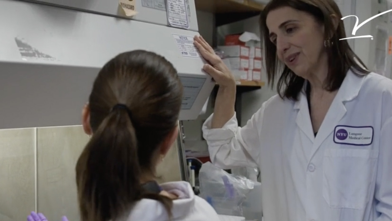 Dr. Hernando-Monge - V Foundation